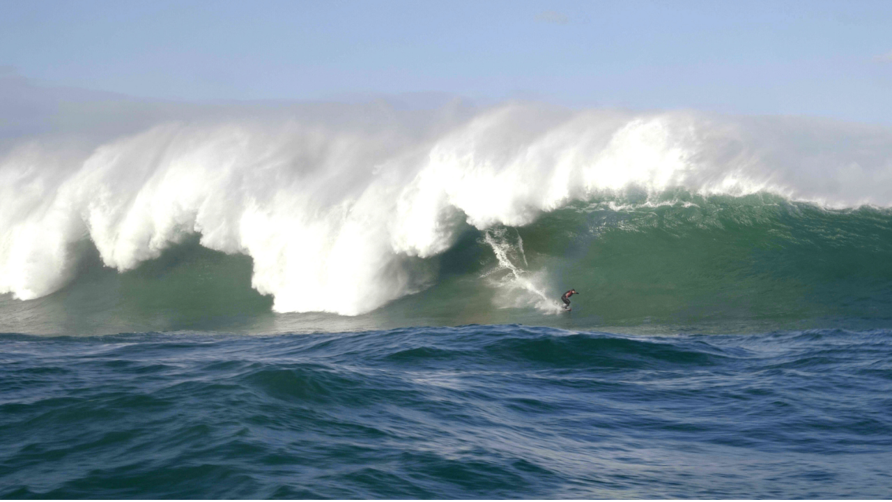 Our Sea Forest - Sussex kelp recovery - Big Wave Productions