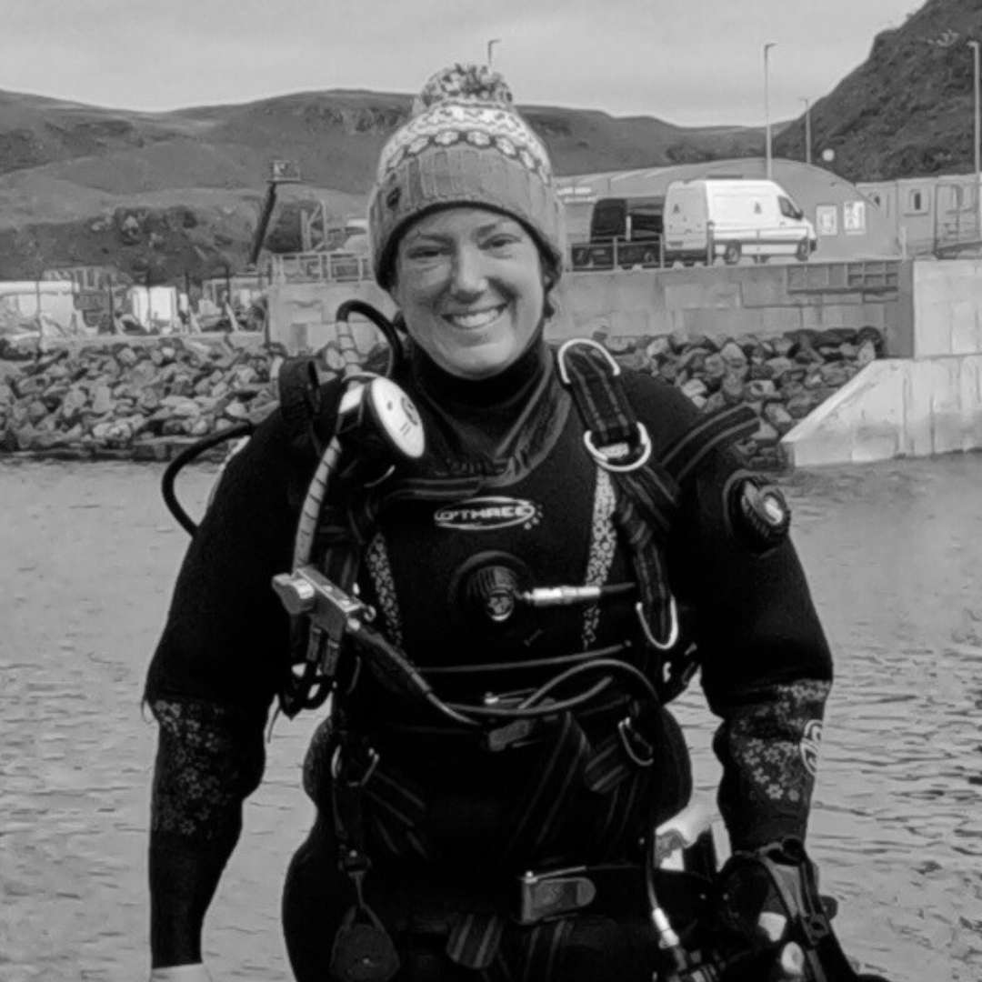 The Team - Big Wave Productions